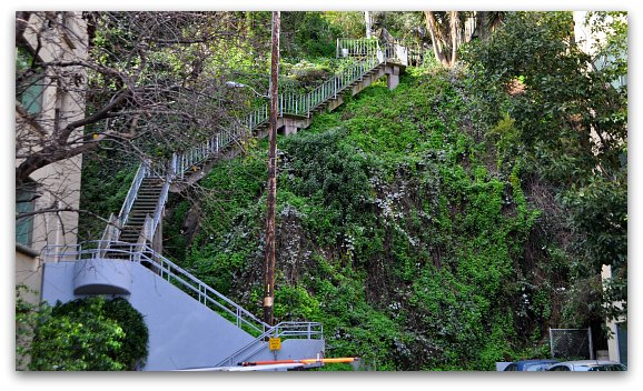 Stairways of San Francisco: 8 Fun Finds