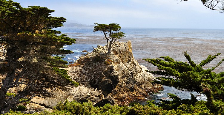 Monterey Attractions & Activities: My 10 Top Picks