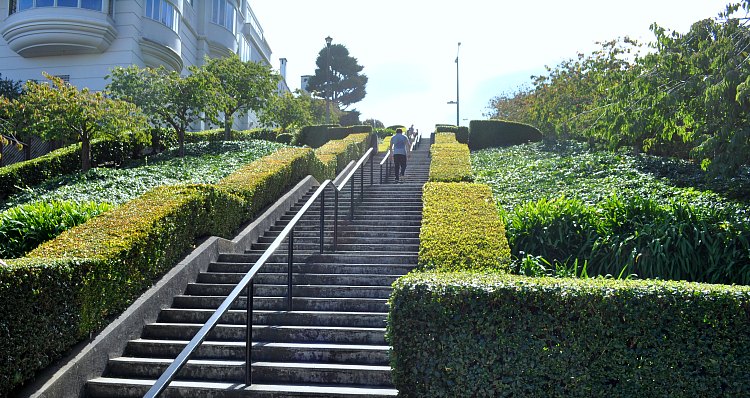 Lyon Street Steps: Tips to Visit this San Francisco Gem
