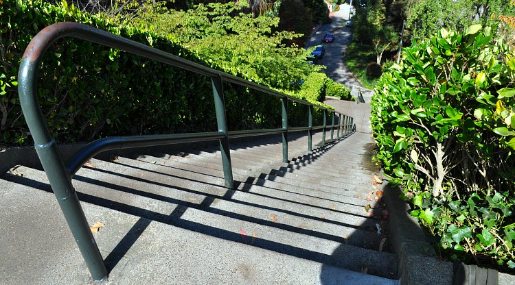 Lyon Street Steps: Tips to Visit this San Francisco Gem