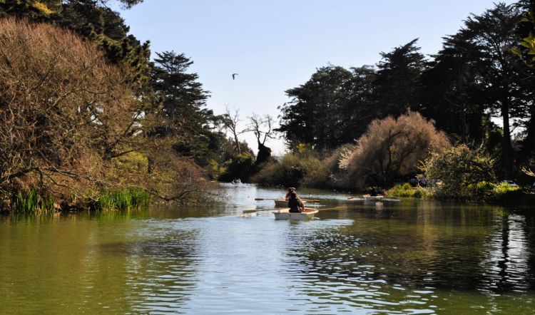 Tips to Visit San Francisco's Blue Heron Lake (formerly Stow Lake)