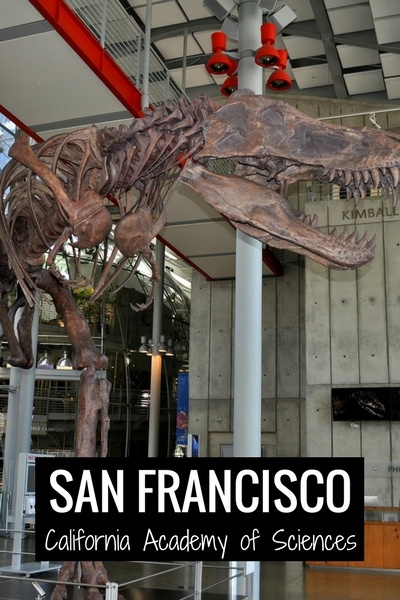 San Francisco Science Museum | California Academy of Sciences