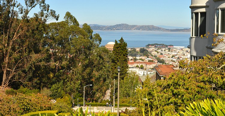 Lyon Street Steps: Tips to Visit this San Francisco Gem